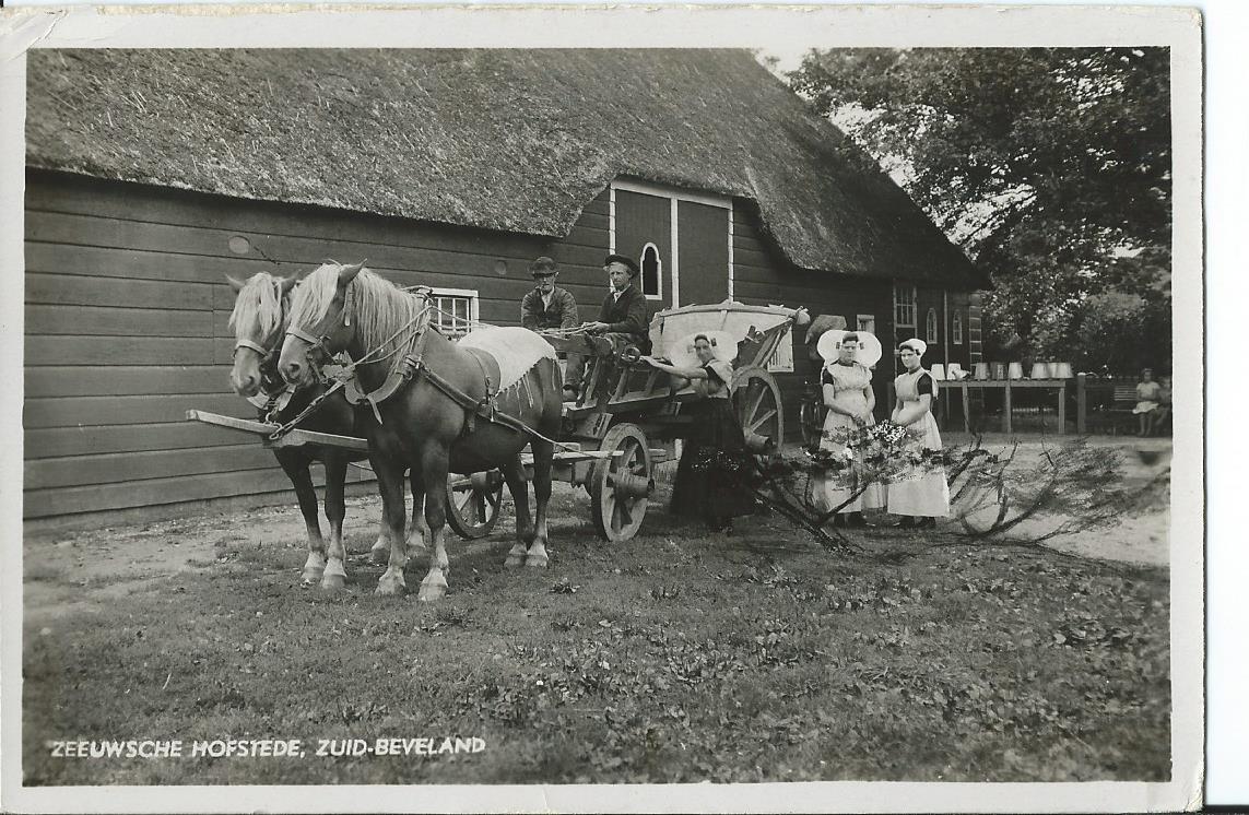 Zuid-Beveland (ZL), Zeeuwsche Hofstede | 1756